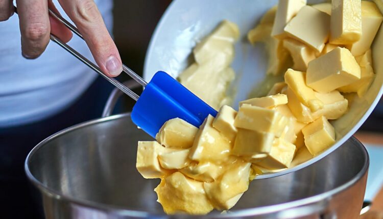 How Dolphin Research Is Revealing the Hidden Health Benefits of Butter ...